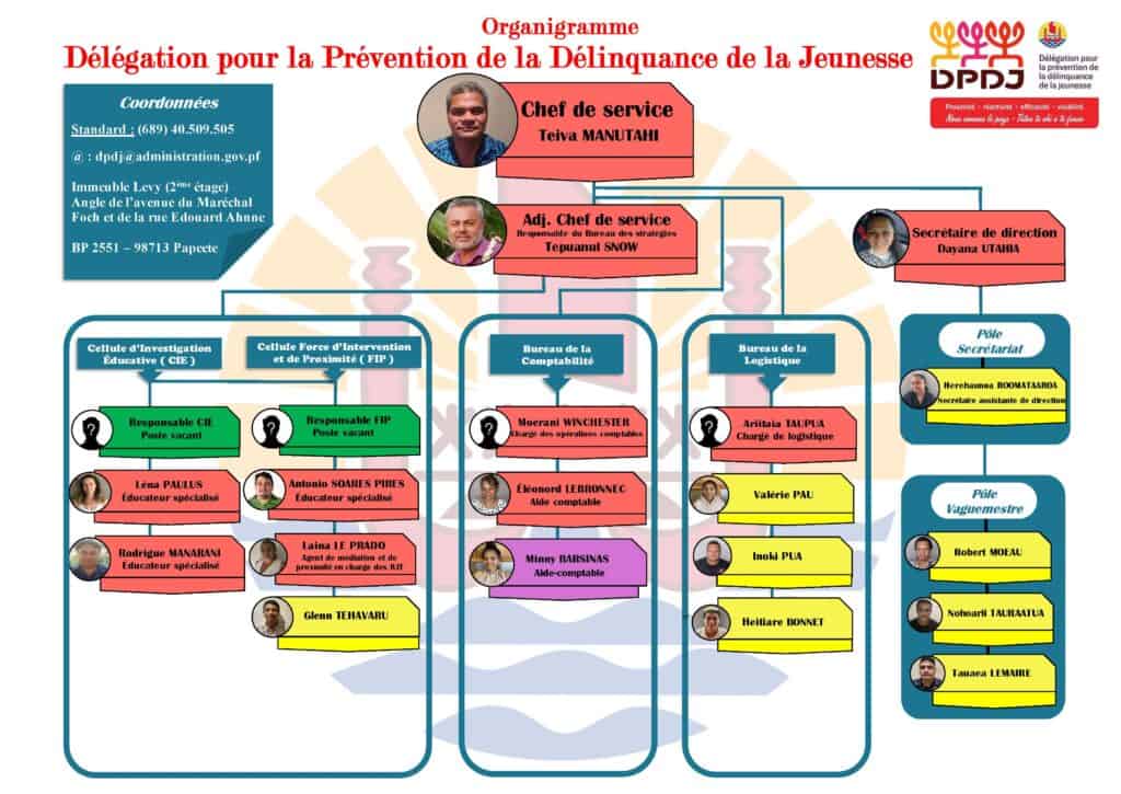 organigramme-dpdj - FOREVERYOUNG